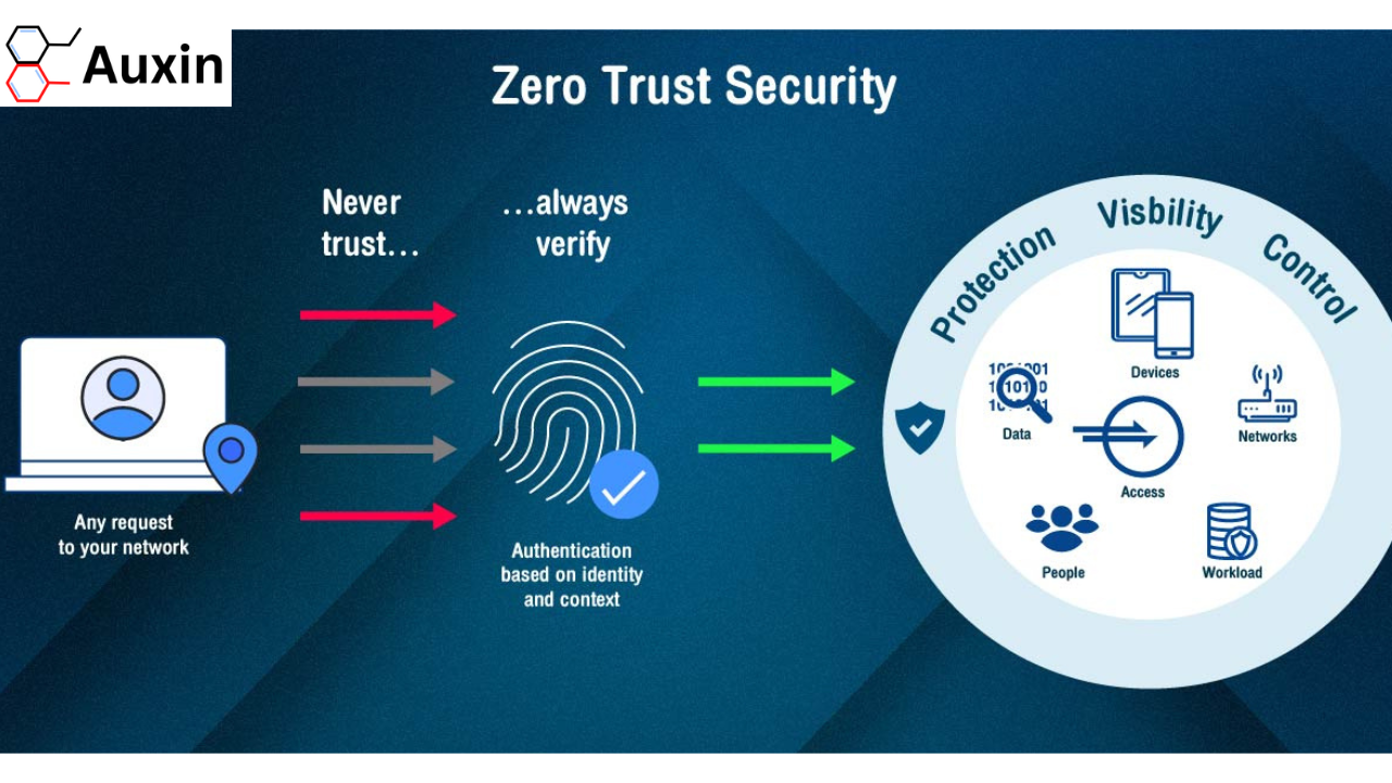 Boosting Zero Trust Network Security with Identity & Access Management