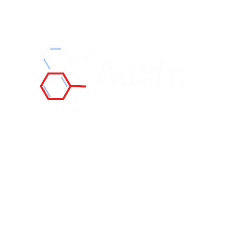 Auxin Security Auxin